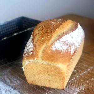 Campaillou Recipe For A Lovely Chewy Bread