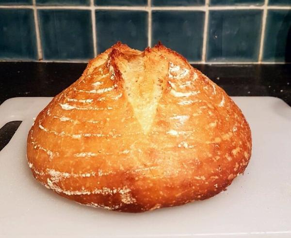 Sourdough Bread Troubleshooting - Busby's