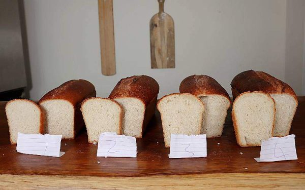 Bulk Fermentation Explained | Why Proof Bread Twice? - Busby's