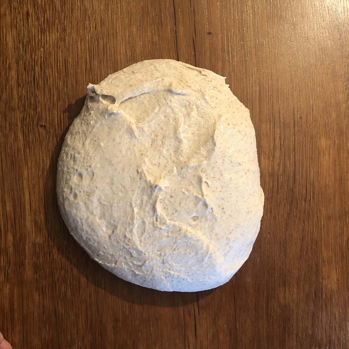 How To Stretch And Fold Sourdough - Busby's