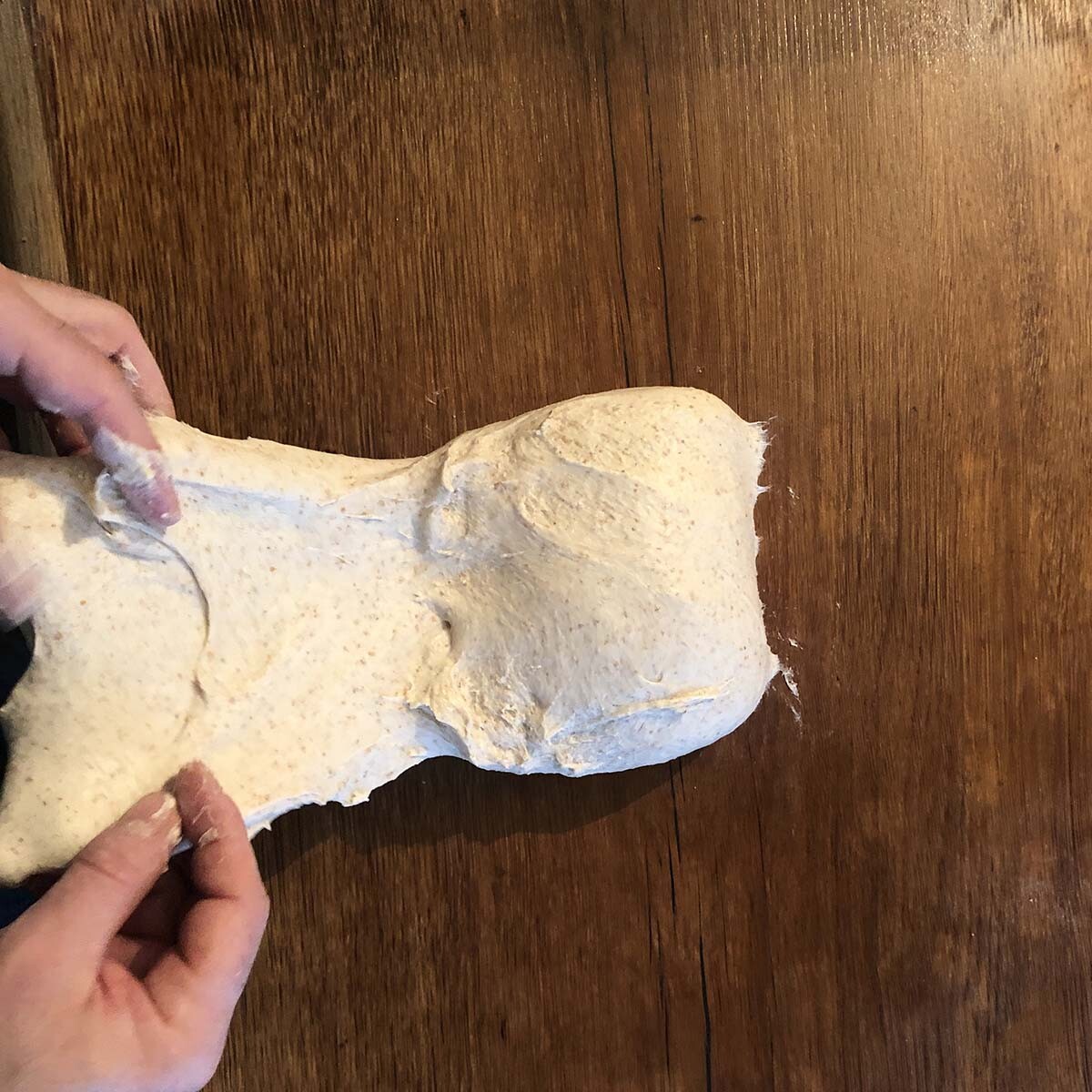 How To Stretch And Fold Sourdough - Busby's