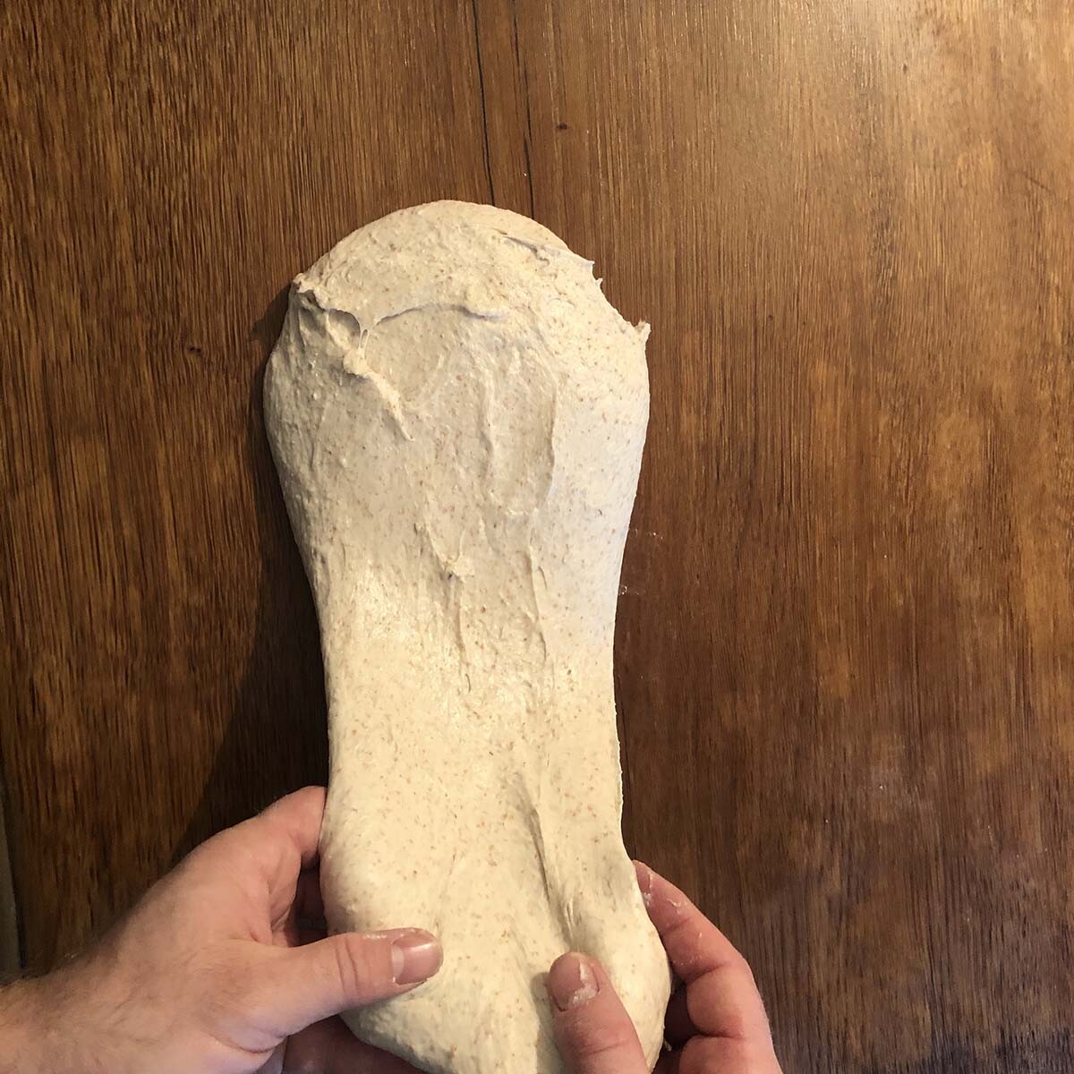 How To Stretch And Fold Sourdough - Busby's