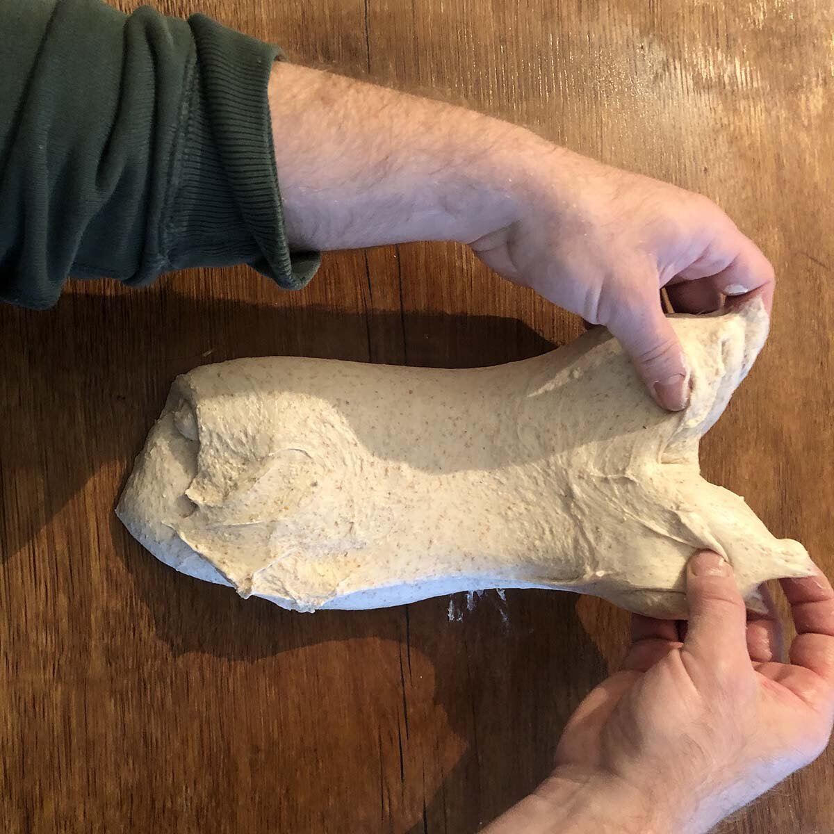 How To Stretch And Fold Sourdough - Busby's
