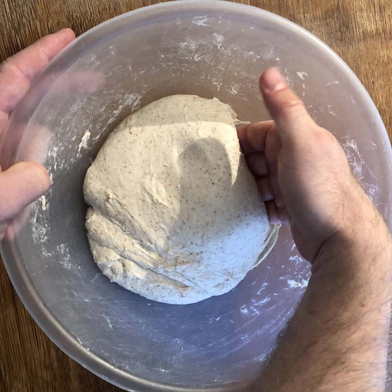 How To Stretch And Fold Sourdough - Busby's