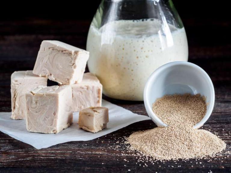 What Does Yeast Do To Bread? Bread Fermentation Process