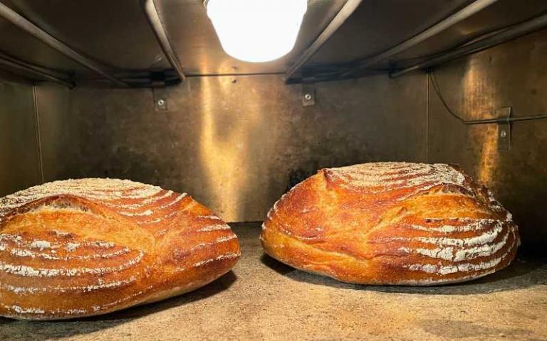 Making Bread In Bulk - How To Make Big Batches Of Dough - Busby's