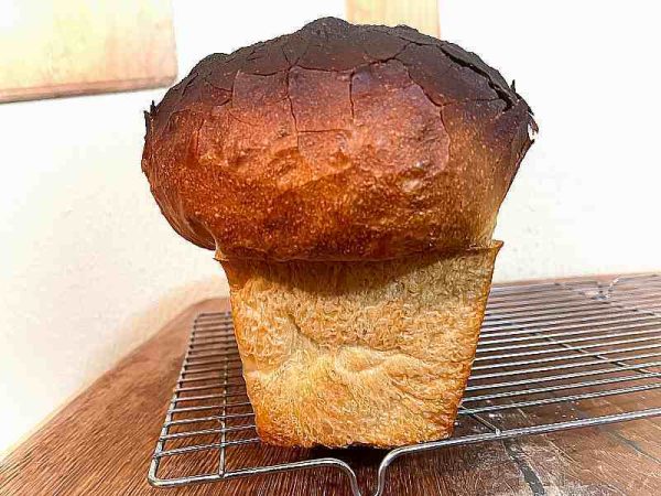 Is It Really Safe To Eat Over-Proofed Bread? - Busby's