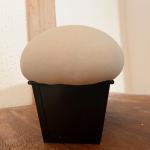 Proofing Bread | How To Perfect The Final Rise - Busby's