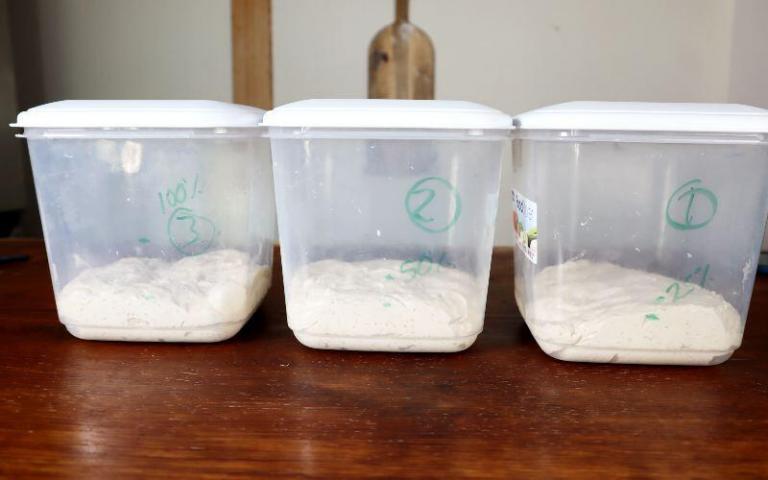 Sourdough Proofing Guide | Master The Perfect Time To Bake!! - Busby's