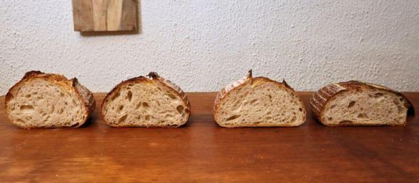 Why Is My Sourdough So Dense? - Let's Fix It Step-by-Step!